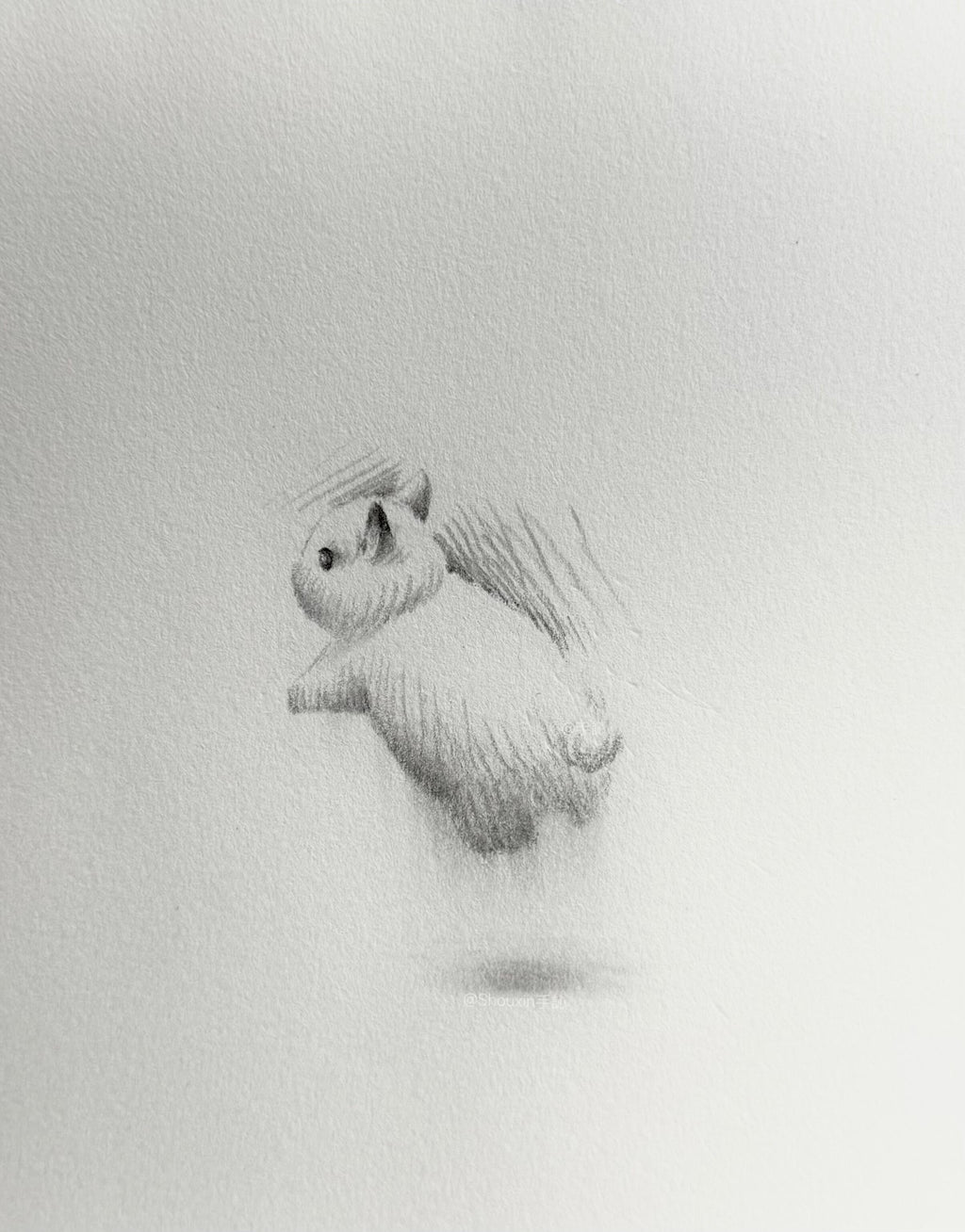 Custom Chibi-Style Pet Portrait Sketch – Digital PDF Delivered via Ema ...